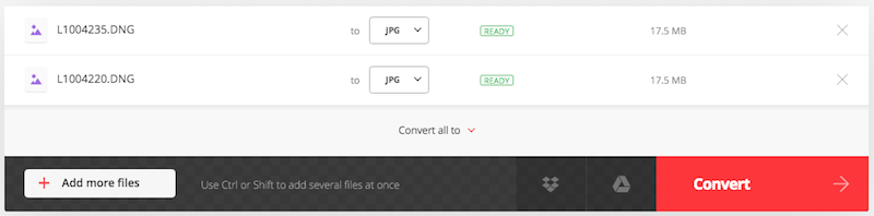 What is the Best DNG to JPG Converter for 2021? (Online or Offline ...
