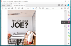 How to Remove (All) Image from PDF in 6 Ways? - itselectable