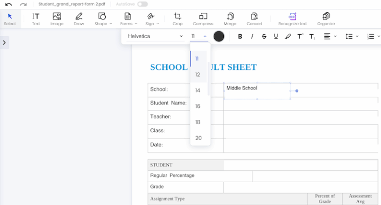 How to Change Font Size in PDF Fillable Form with 4 Ways - itselectable